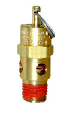 Control Devices 1/4" NPT "ST" ASME Soft Seat Safety Relief Valve ST25 ...